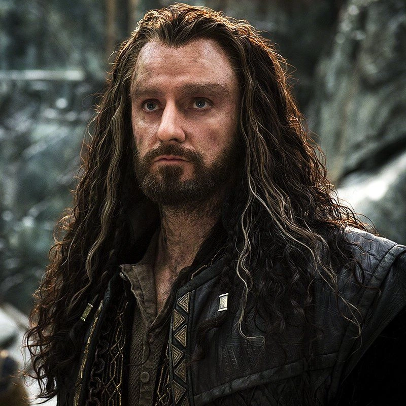 Thorin Oakenshield | Once Upon a Hero Wiki | Fandom