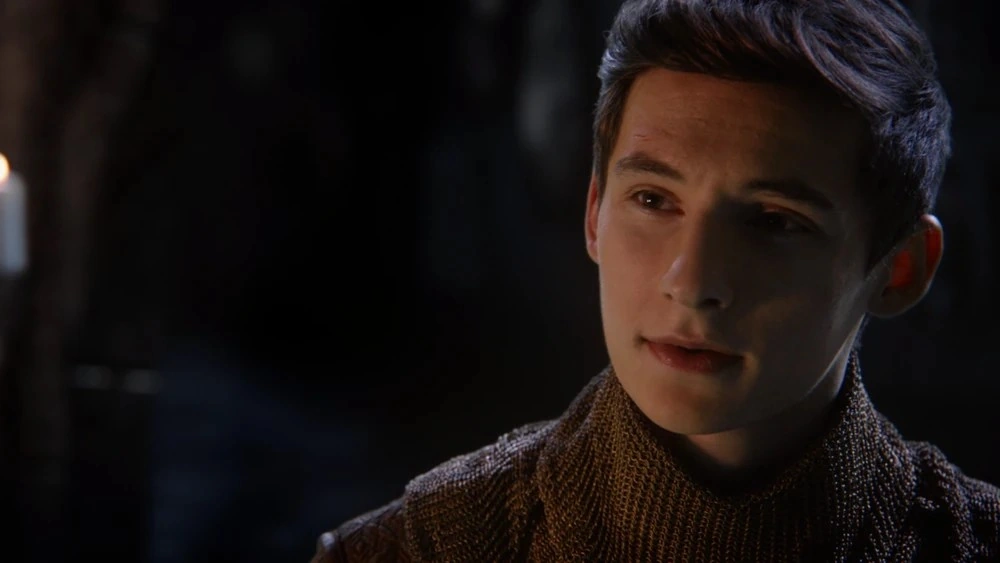 Sir Henry (Wish Realm) | Once Upon a Hero Wiki | Fandom