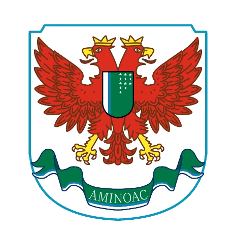 AminoacPay | 阿米诺斯共和国-Ougehgnog Aminoac Wiki | Fandom