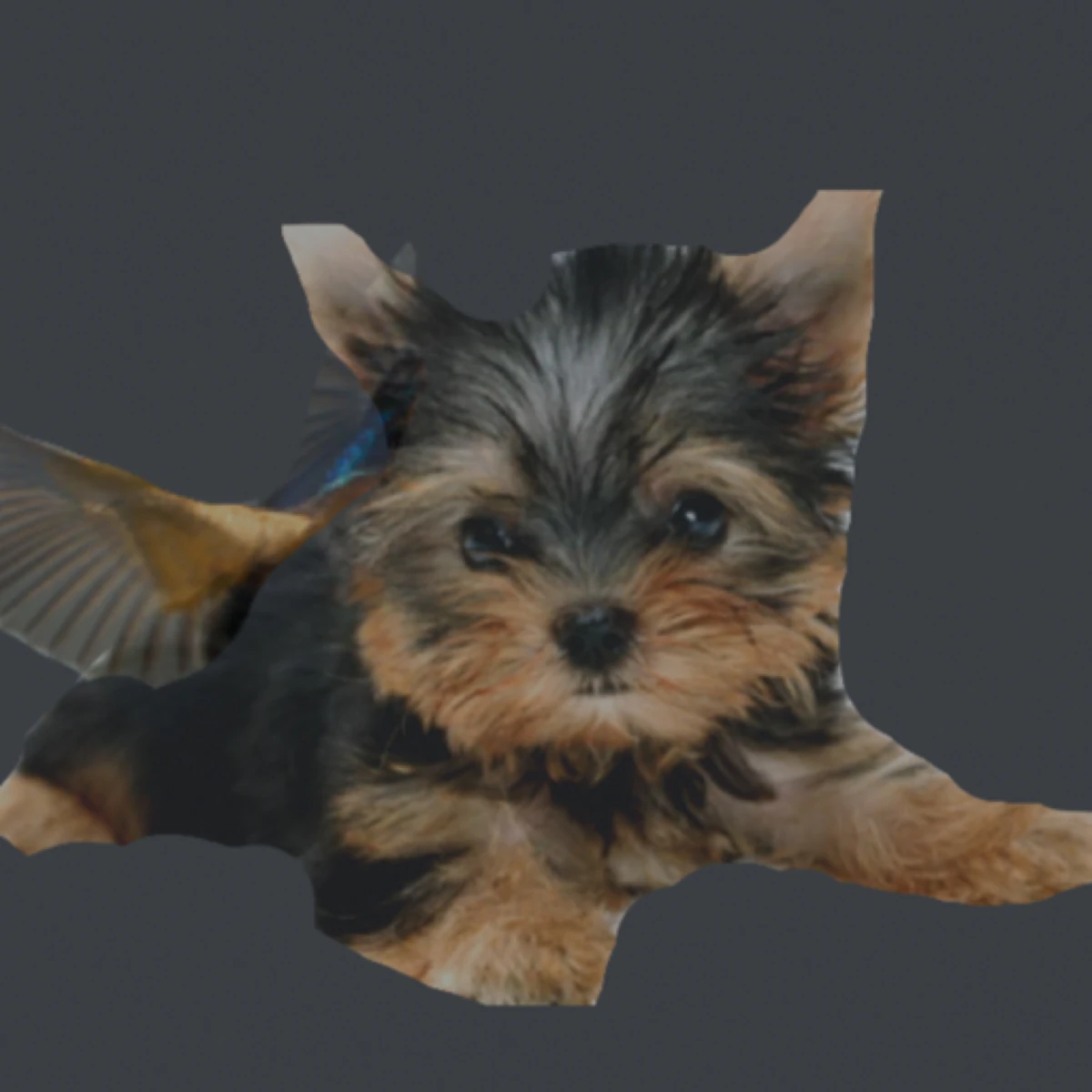 Dirg | Our Croods 2 Proposals Wiki | Fandom