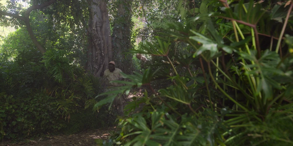 The Mabo Island | Our Flag Means Death Wiki | Fandom