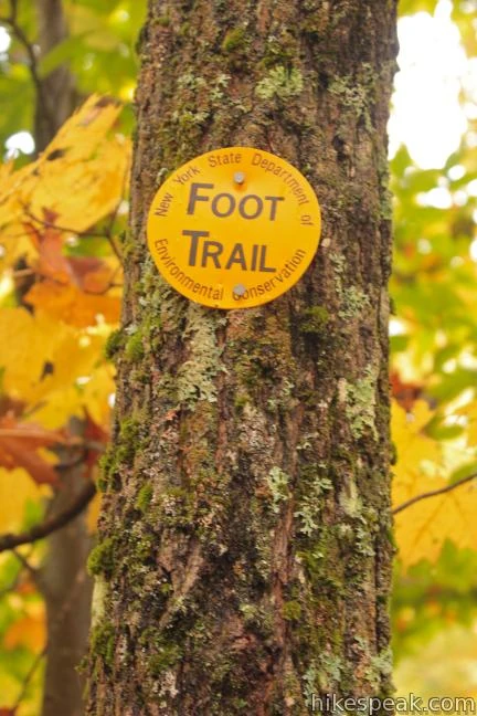 Trial Markers | Our own Universe Wiki | Fandom