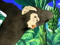 Ouran's Monkeys | Ouran High School Host Club Wiki | Fandom