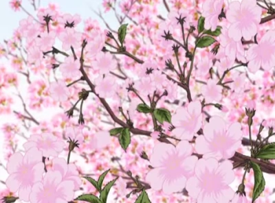 Ouran Academy/Image Gallery | Ouran High School Host Club Wiki | Fandom