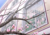 Ouran Academy | Ouran High School Host Club Wiki | Fandom