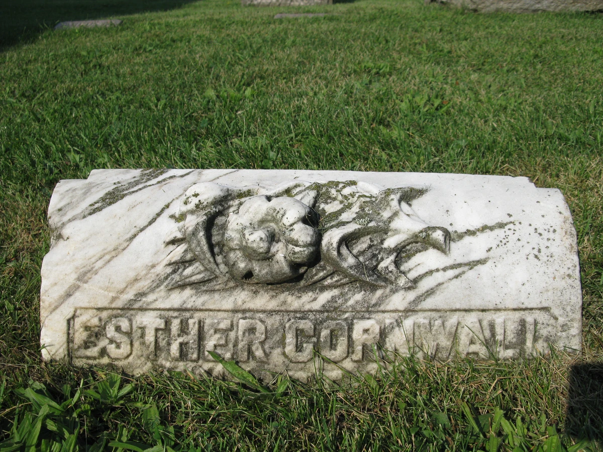 Esther Cornwall | Our Brant | Fandom