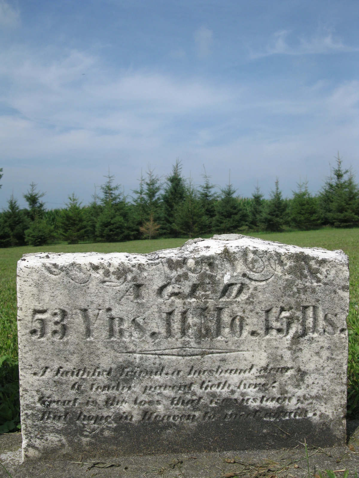 White 1-16 | Our Brant | Fandom