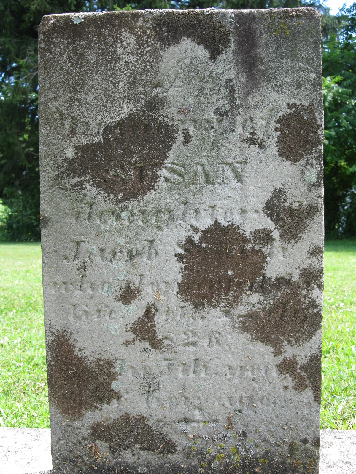 Susan Smith | Our Brant | Fandom