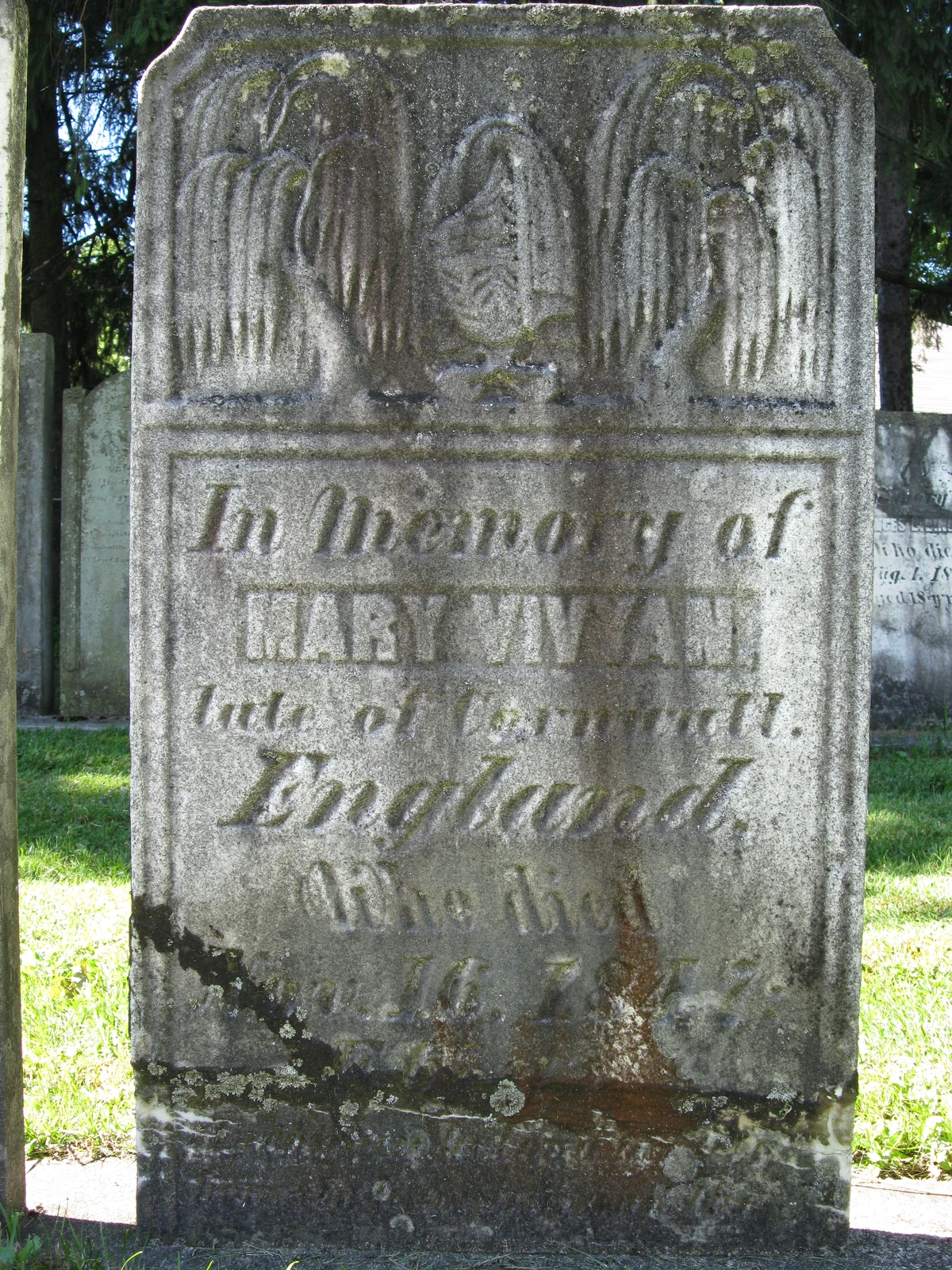 Mary Vivyan | Our Brant | Fandom