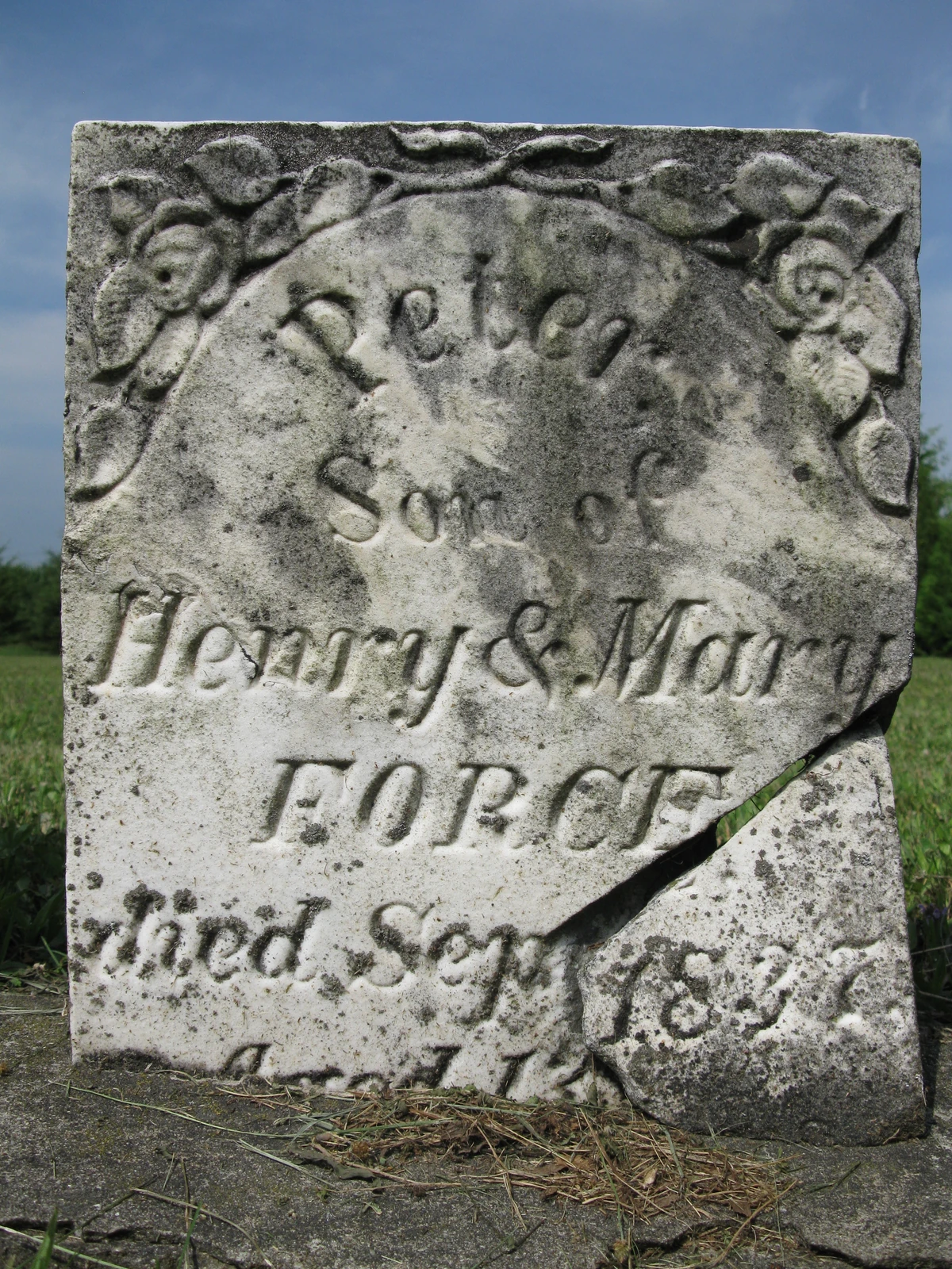 Peter Force | Our Brant | Fandom