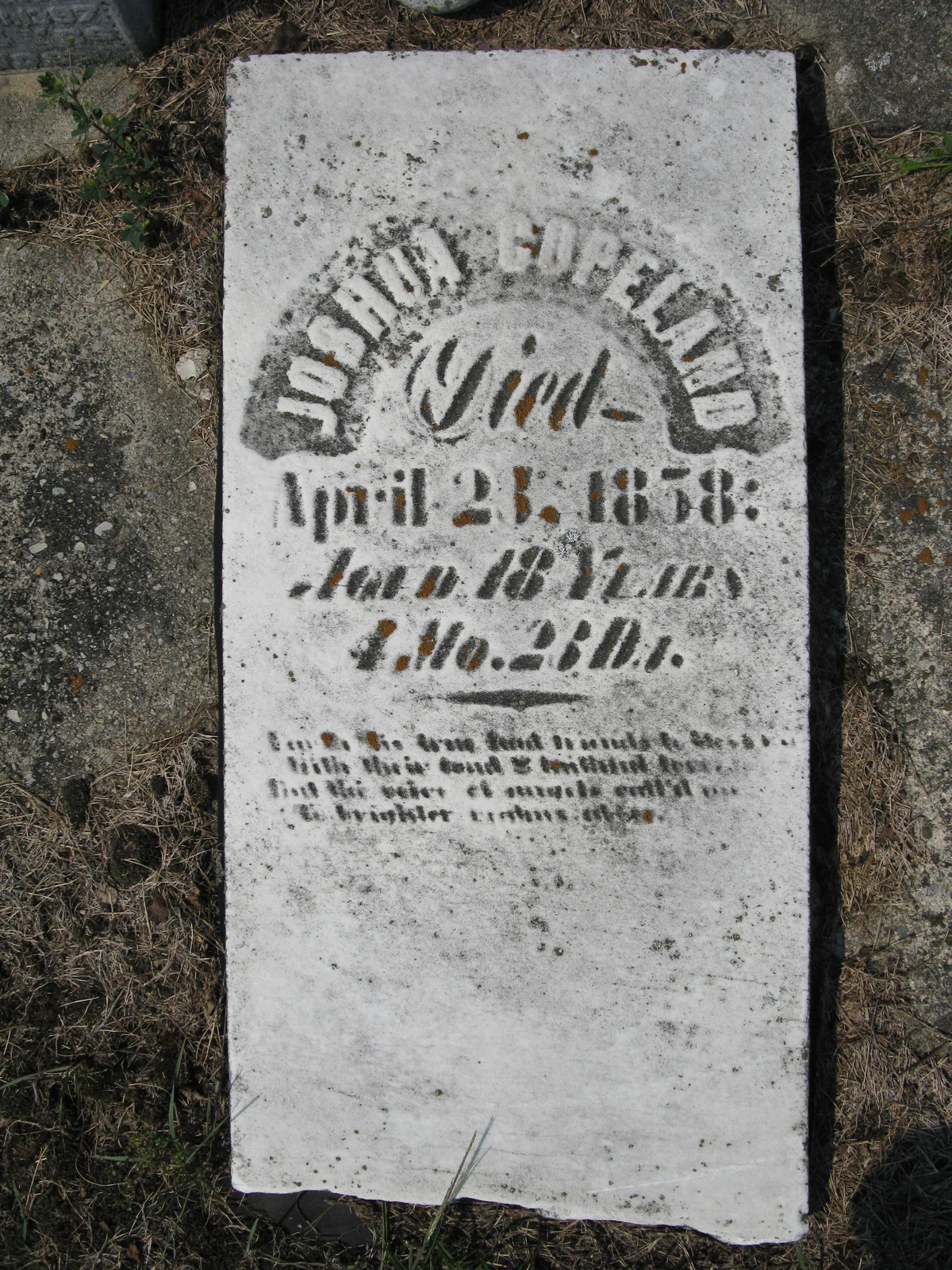 Joshua Copeland | Our Brant | Fandom