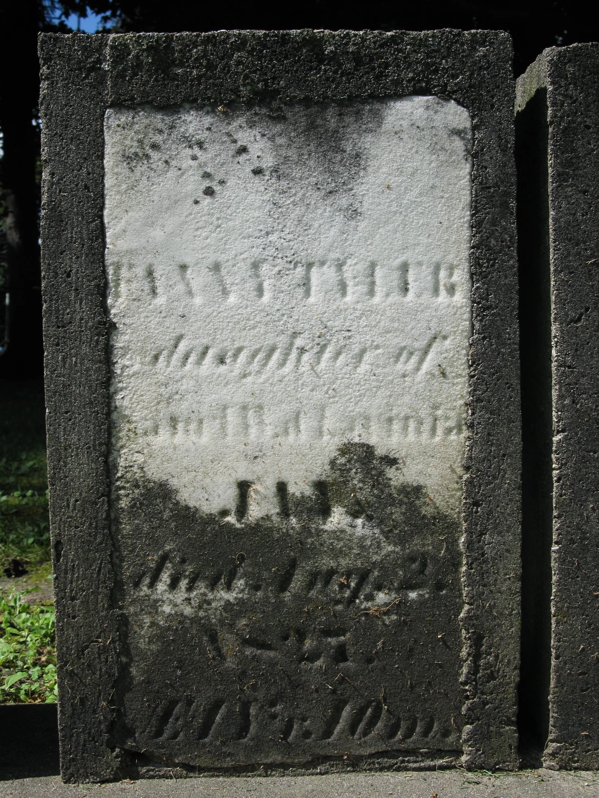 Tyler Jay | Our Brant | Fandom