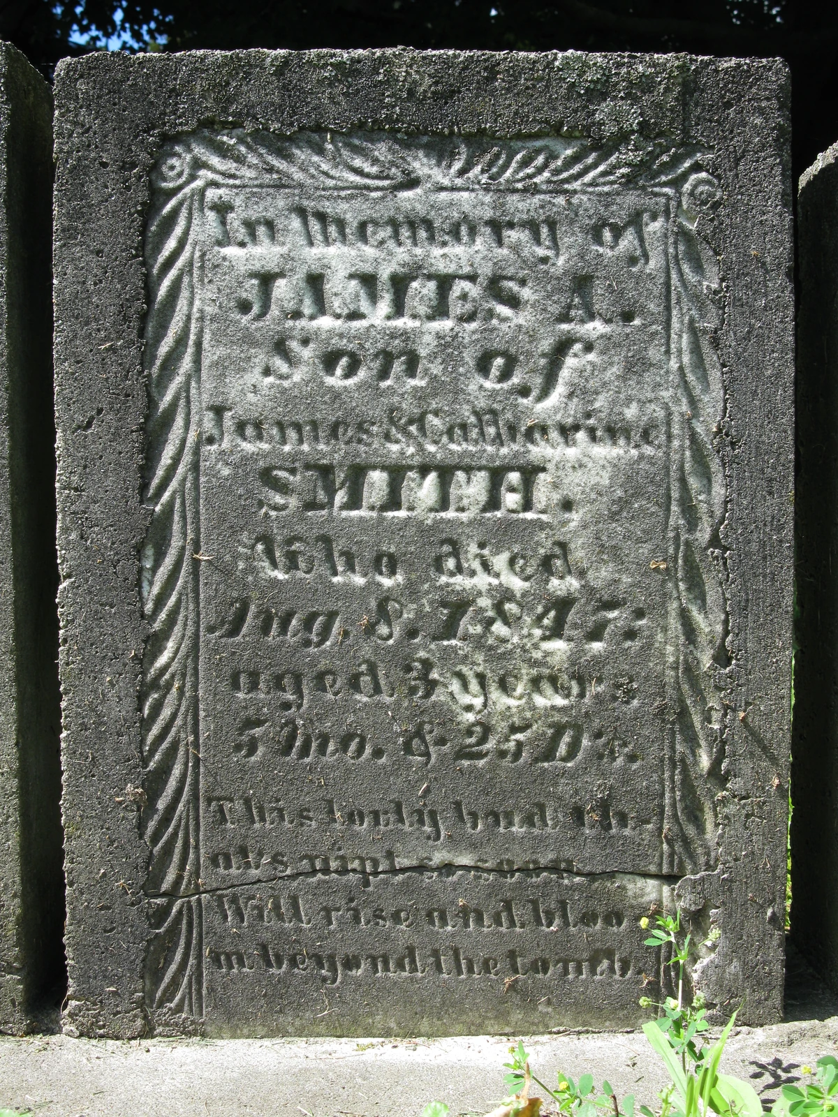 James A. Smith | Our Brant | Fandom