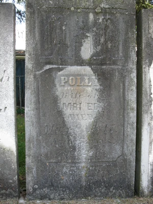 Polly Edy | Our Brant | Fandom