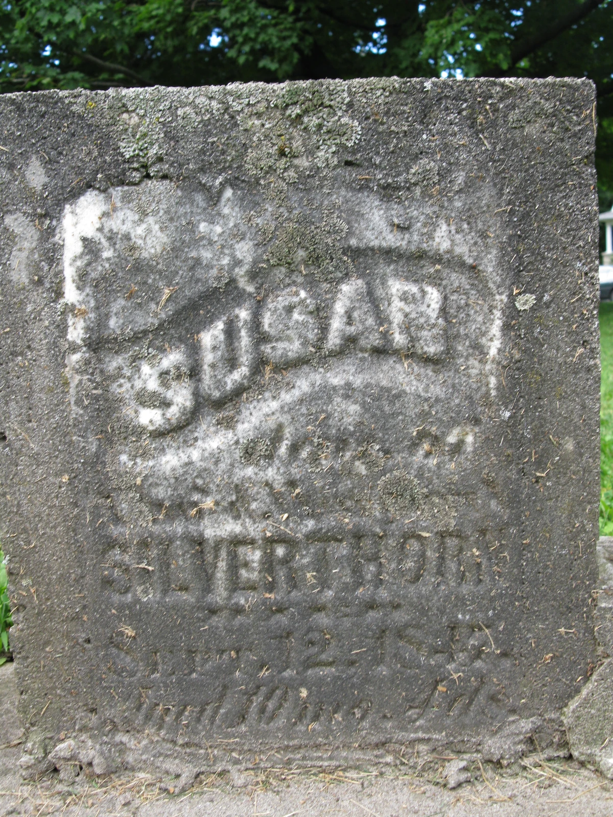 Susan Silverthorn | Our Brant | Fandom