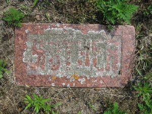 Clara Robinson | Our Brant | Fandom