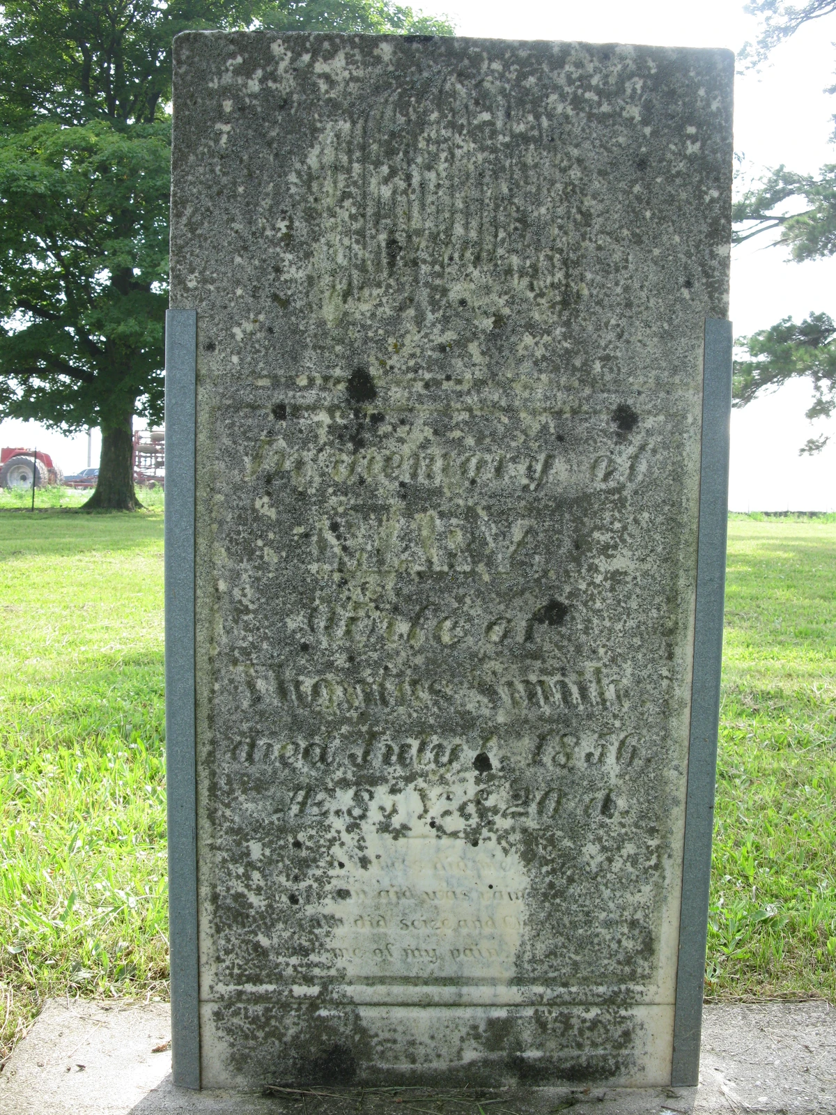 Mary Smith | Our Brant | Fandom