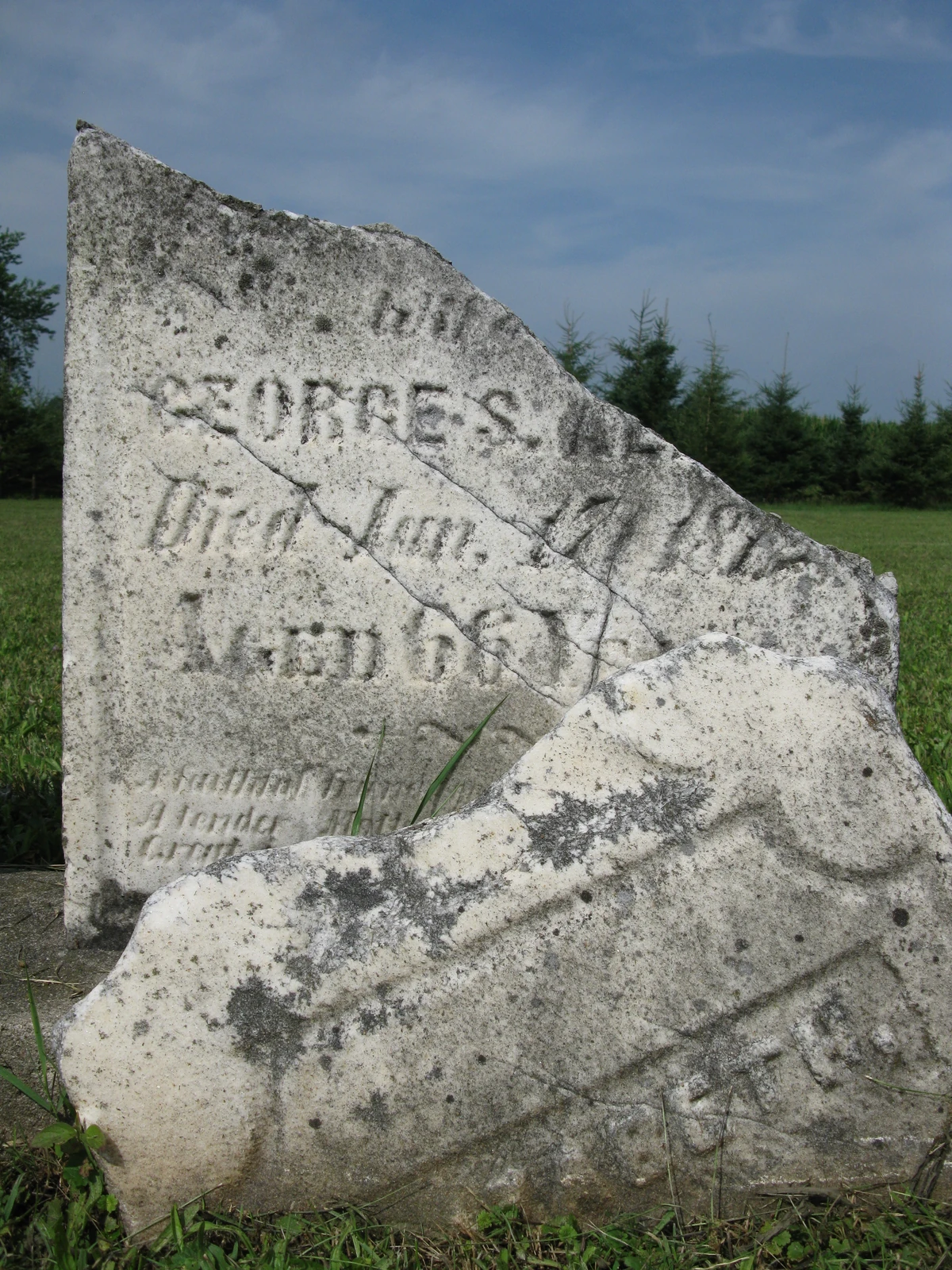 Elizabeth Allen | Our Brant | Fandom