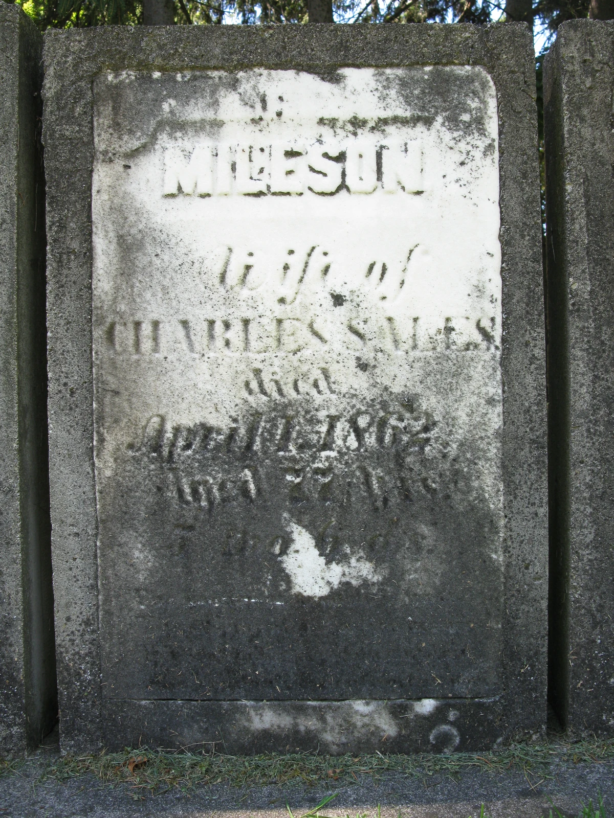 Mileson Sales | Our Brant | Fandom