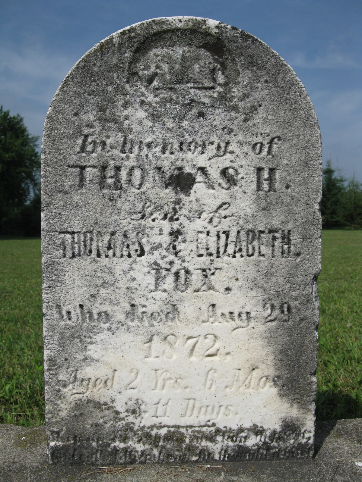 Thomas H. Fox | Our Brant | Fandom