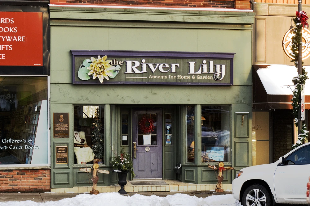 The River Lily | Our Brant | Fandom