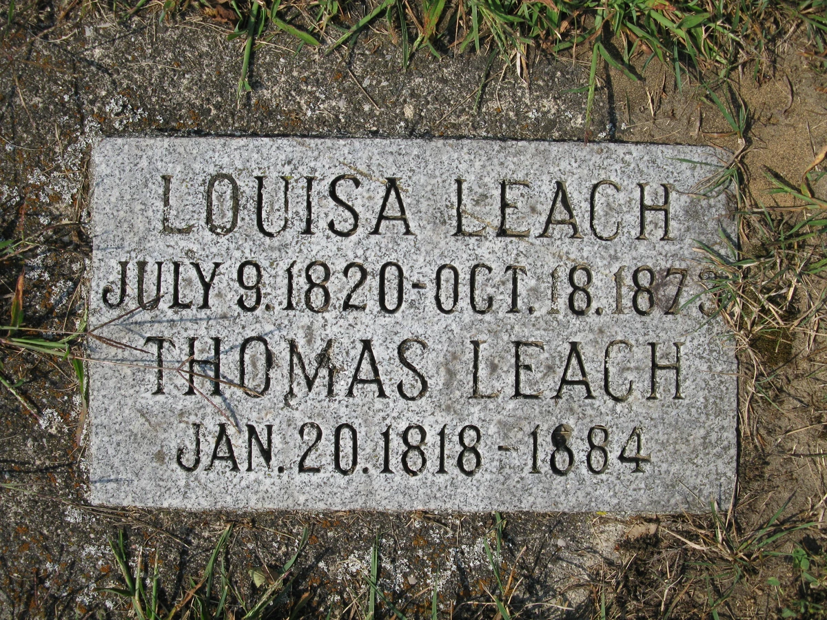 Thomas Leach | Our Brant | Fandom