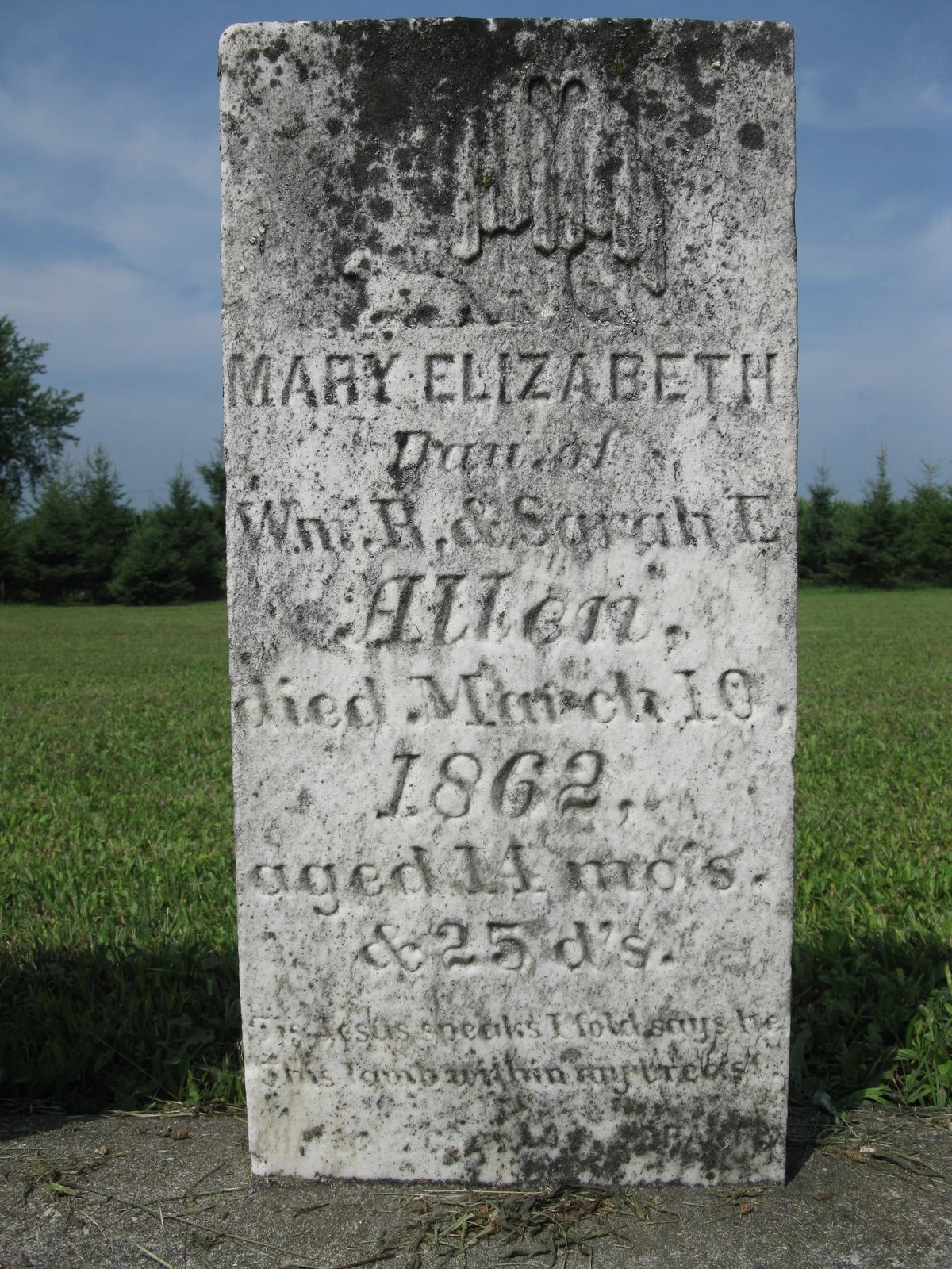 Mary Elizabeth Allen | Our Brant | Fandom