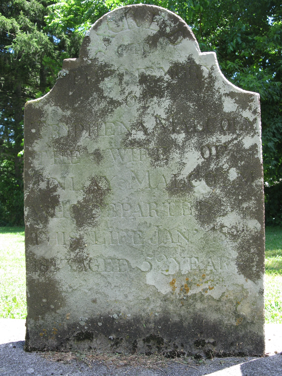 Tryphena Malcolm | Our Brant | Fandom