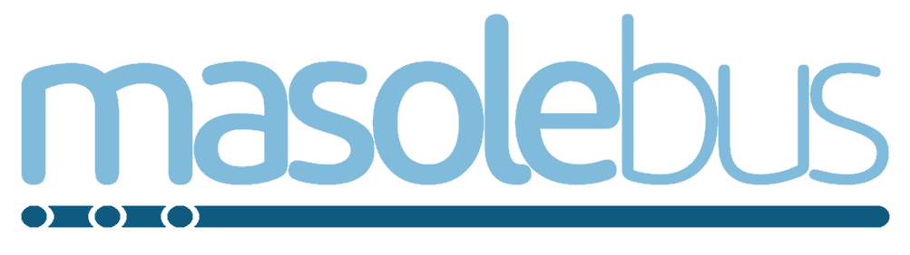 (Oshein) MasoleBus | Ourcity Wiki | Fandom