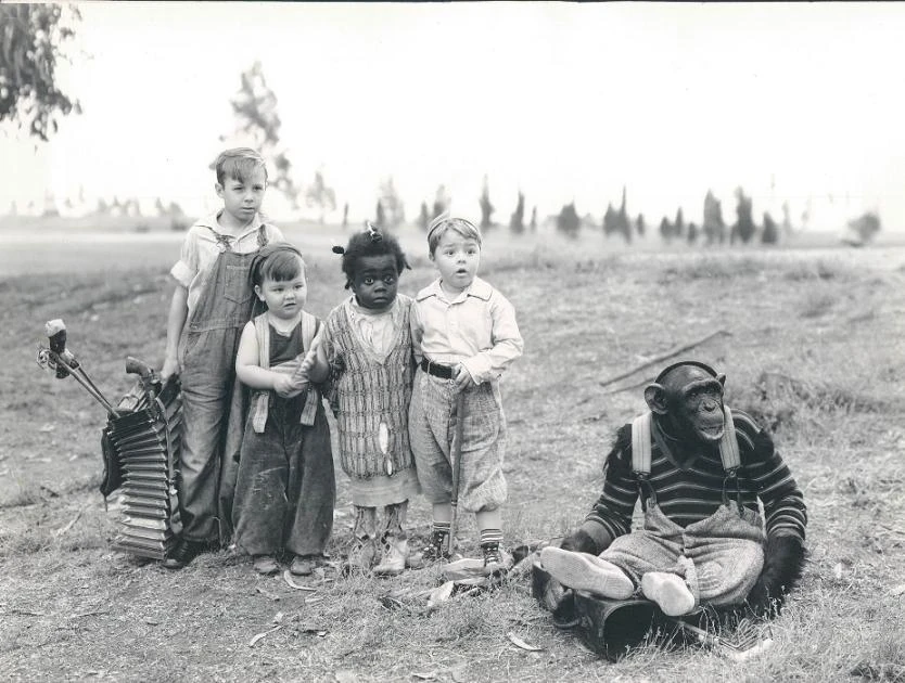 Jiggs | Our Gang Wikia Wiki | Fandom