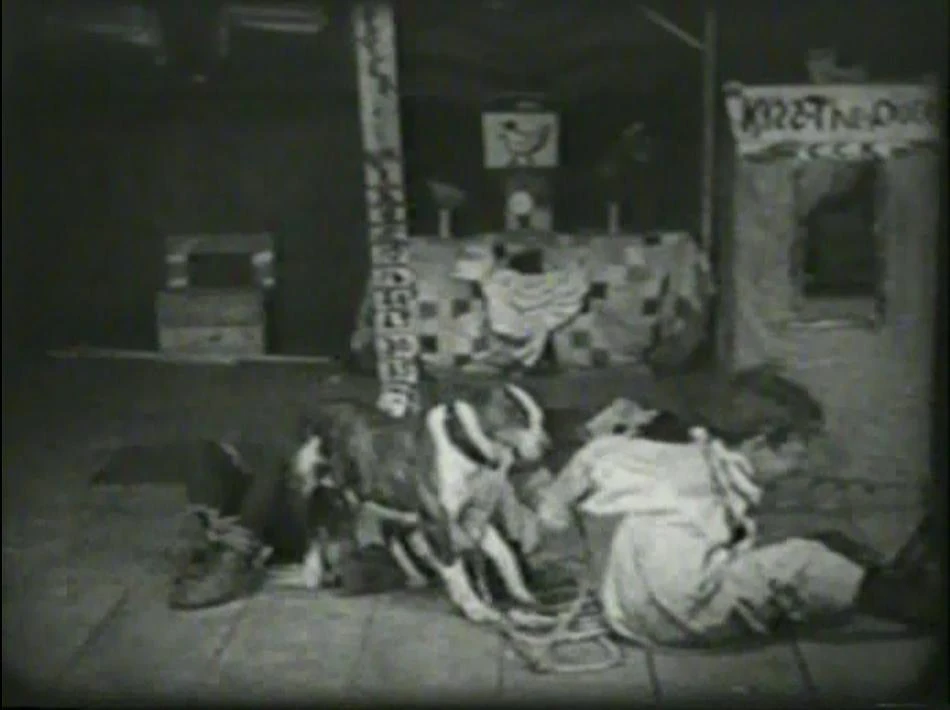 Joe (dog) | Our Gang Wikia Wiki | Fandom