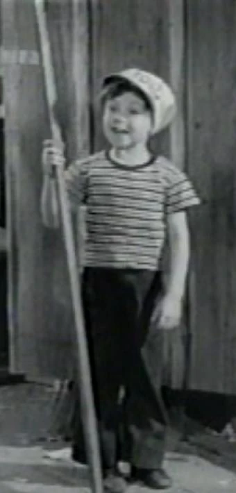 Dickie Hall | Our Gang Wikia Wiki | Fandom