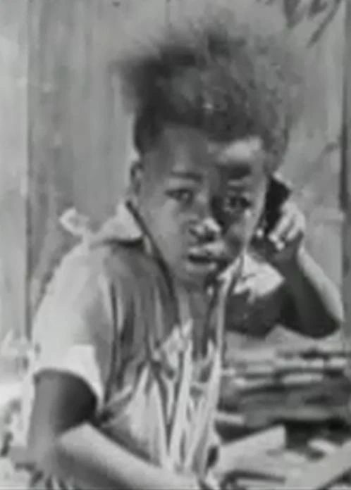 Pineapple | Our Gang Wikia Wiki | Fandom