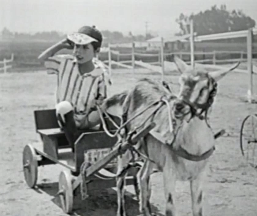 Baa | Our Gang Wikia Wiki | Fandom