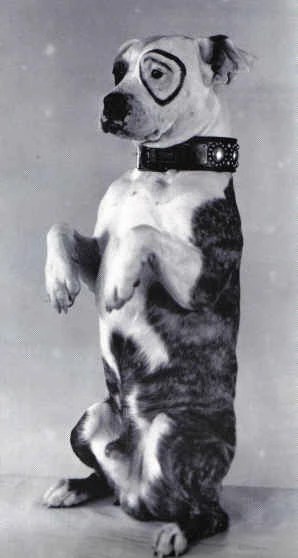 What Is The Dog From Little Rascals