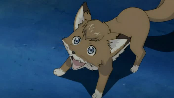 Daigoro | Our Home's Fox Deity Wiki | Fandom