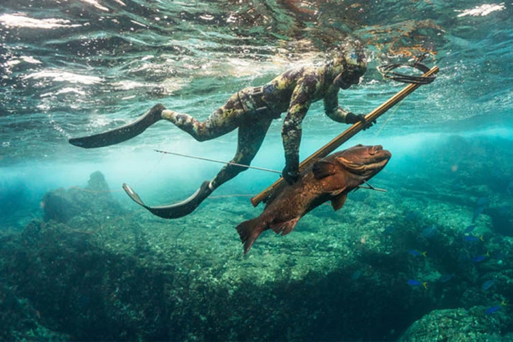 Spear Fishing | Outdoors Wiki | Fandom