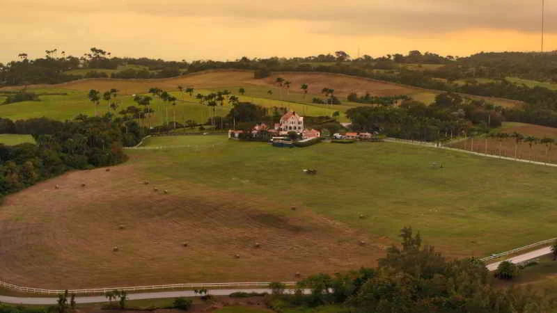 Manoir de Carlos Singh | Wiki Outer Banks | Fandom