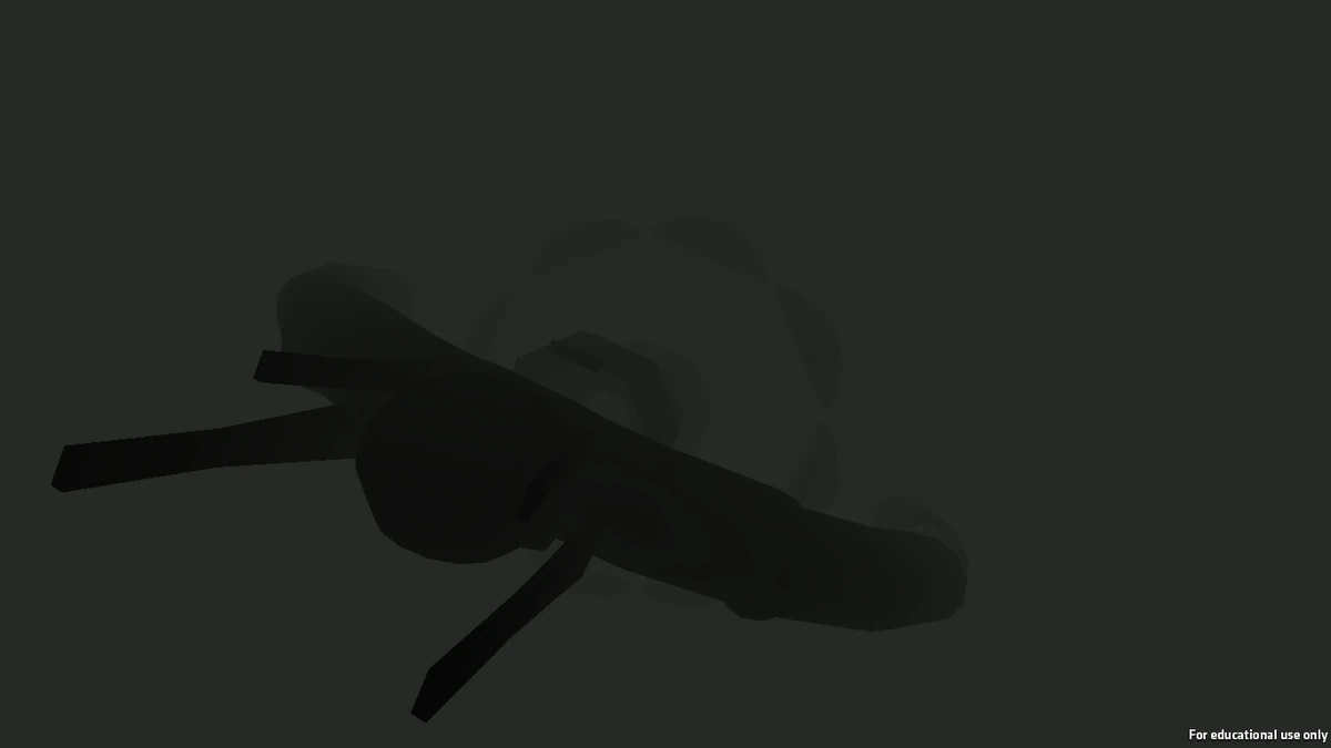 The Vessel (Alpha) - Official Outer Wilds Wiki