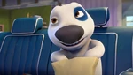 Talking Roy and Friends | Talking Tom & Friends Wiki | Fandom