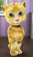 Ginger/Designs | Talking Tom & Friends Wiki | Fandom