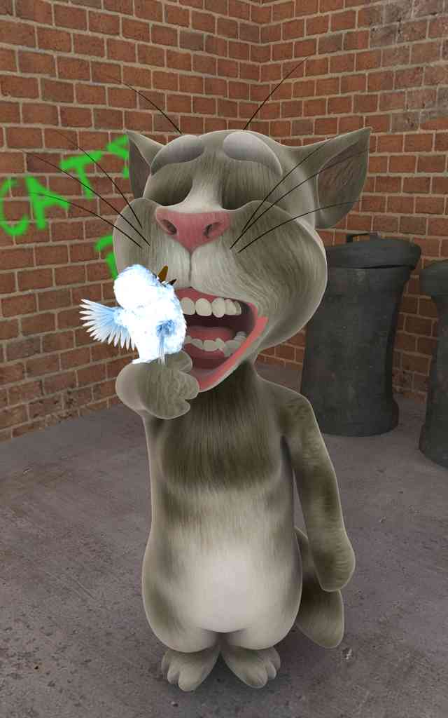 Talking Tom Cat/Gallery | Talking Tom & Friends Wiki | Fandom