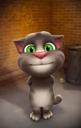 Talking Tom Cat/Gallery | Talking Tom & Friends Wiki | Fandom