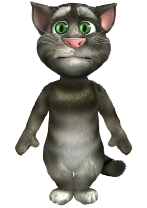 Tom | Talking Tom & Friends Wiki | Fandom