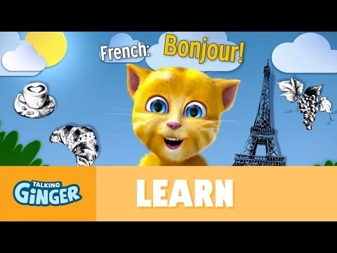 Talking Ginger Says Hello! | Talking Tom & Friends Wiki | Fandom