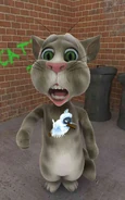 Talking Tom Cat (2010)/Gallery | Talking Tom & Friends Wiki | Fandom