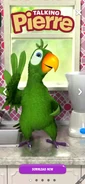 Talking Pierre the Parrot/Gallery | Talking Tom & Friends Wiki | Fandom