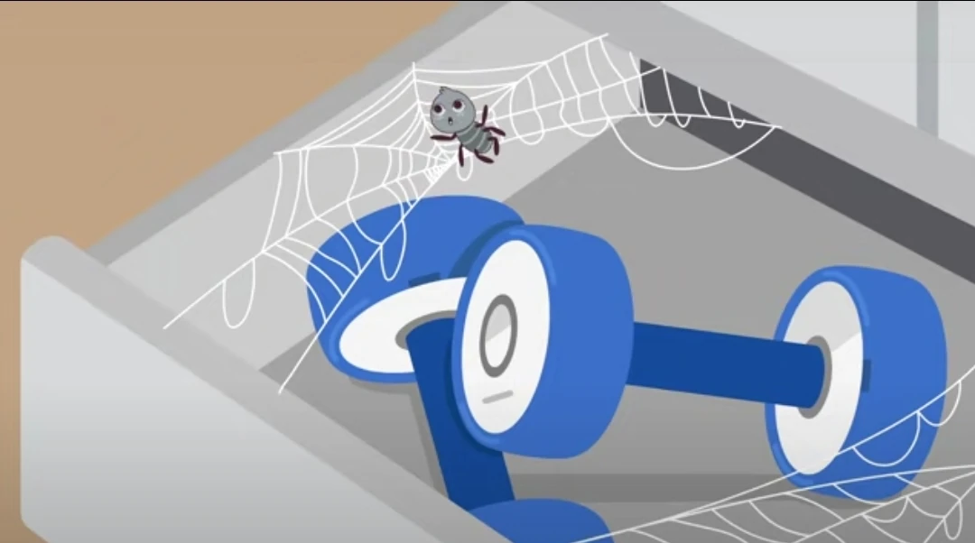 Spider | Talking Tom & Friends Wiki | Fandom