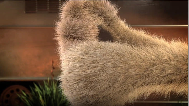 Foolf/Gallery | Talking Tom & Friends Wiki | Fandom