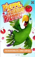 Talking Pierre the Parrot/Gallery | Talking Tom & Friends Wiki | Fandom